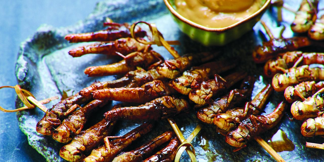 Grillen & Co: Sind Insekten das neue Fleisch?