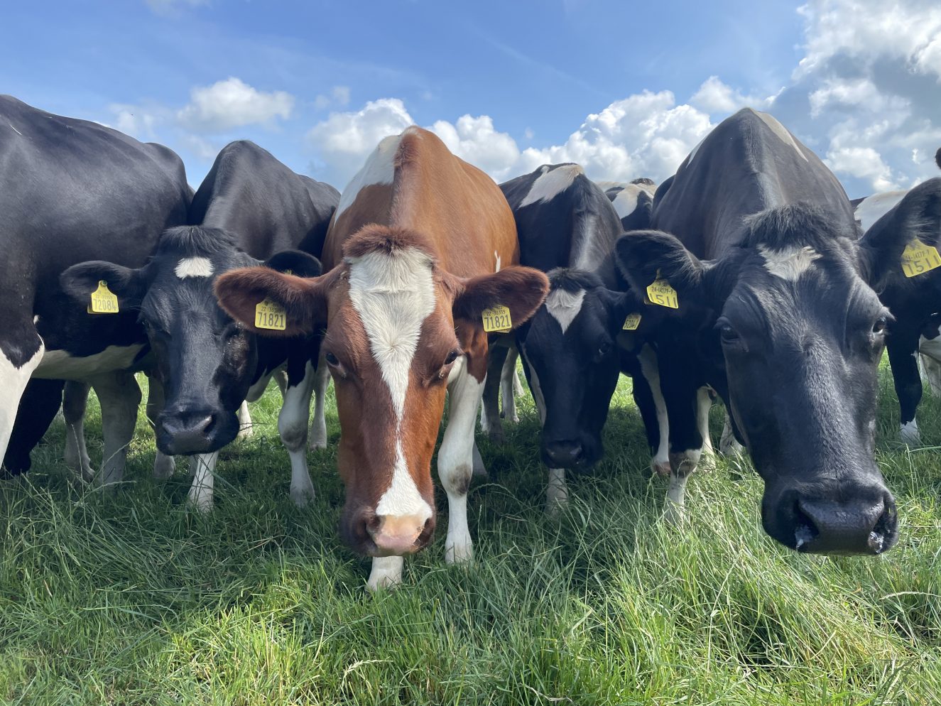 Dr. Malte Rubach: Die Ernährung der Zukunft